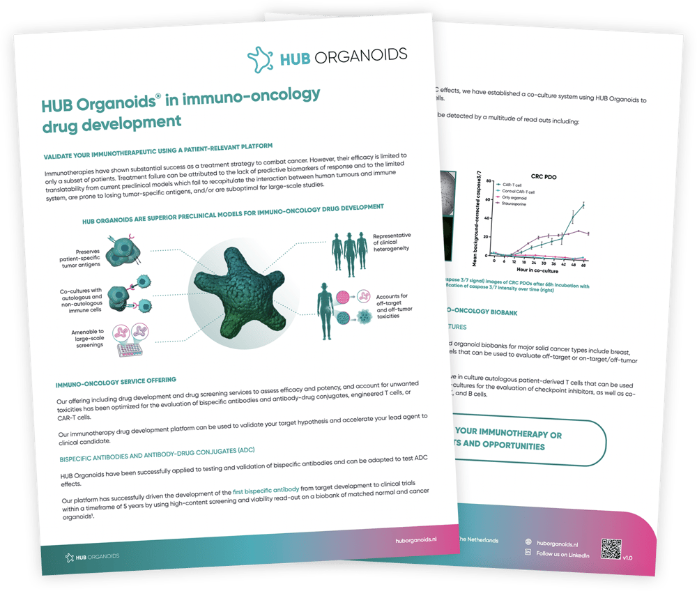 De-risk your immuno-oncology drug development with HUB Organoids