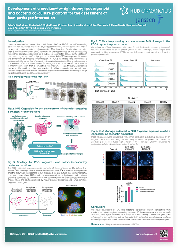 Development of a medium-to-high throughput organoid and bacteria co ...