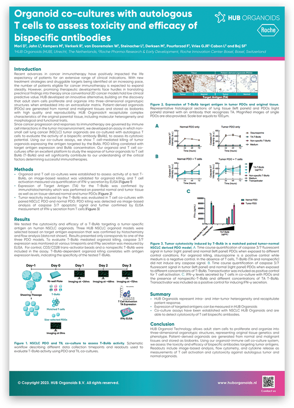 Poster download : Organoid T cell co-culture system for bispecifics