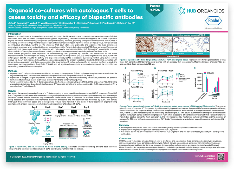 Poster download : Organoid T cell co-culture system for bispecifics