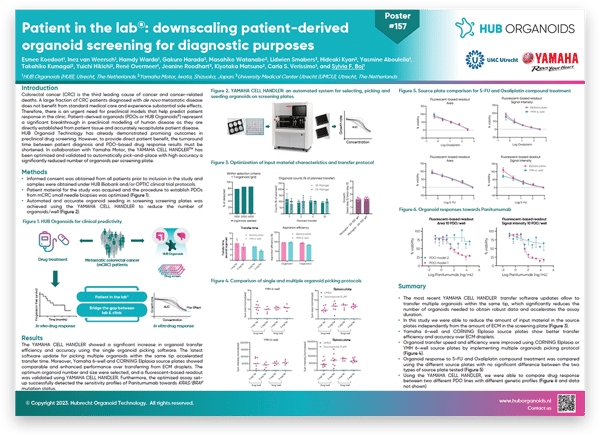 Download poster: Down-scaling PDO screening for diagnostic purposes