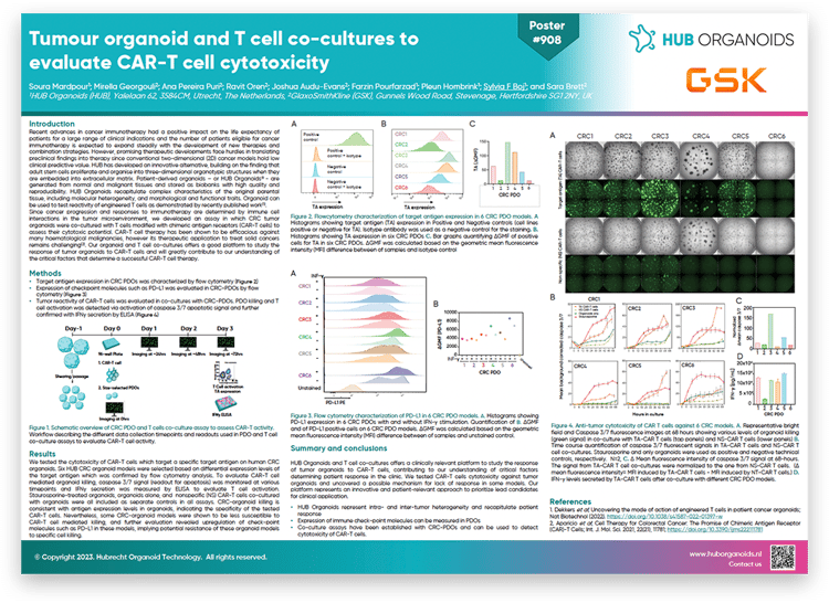 Poster download : Organoid-T cell co-culture for CAR T cytotoxicity