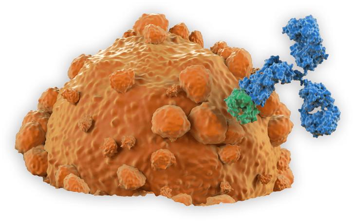 Reconstructing the Tumour Microenvironment with Patient-derived ...