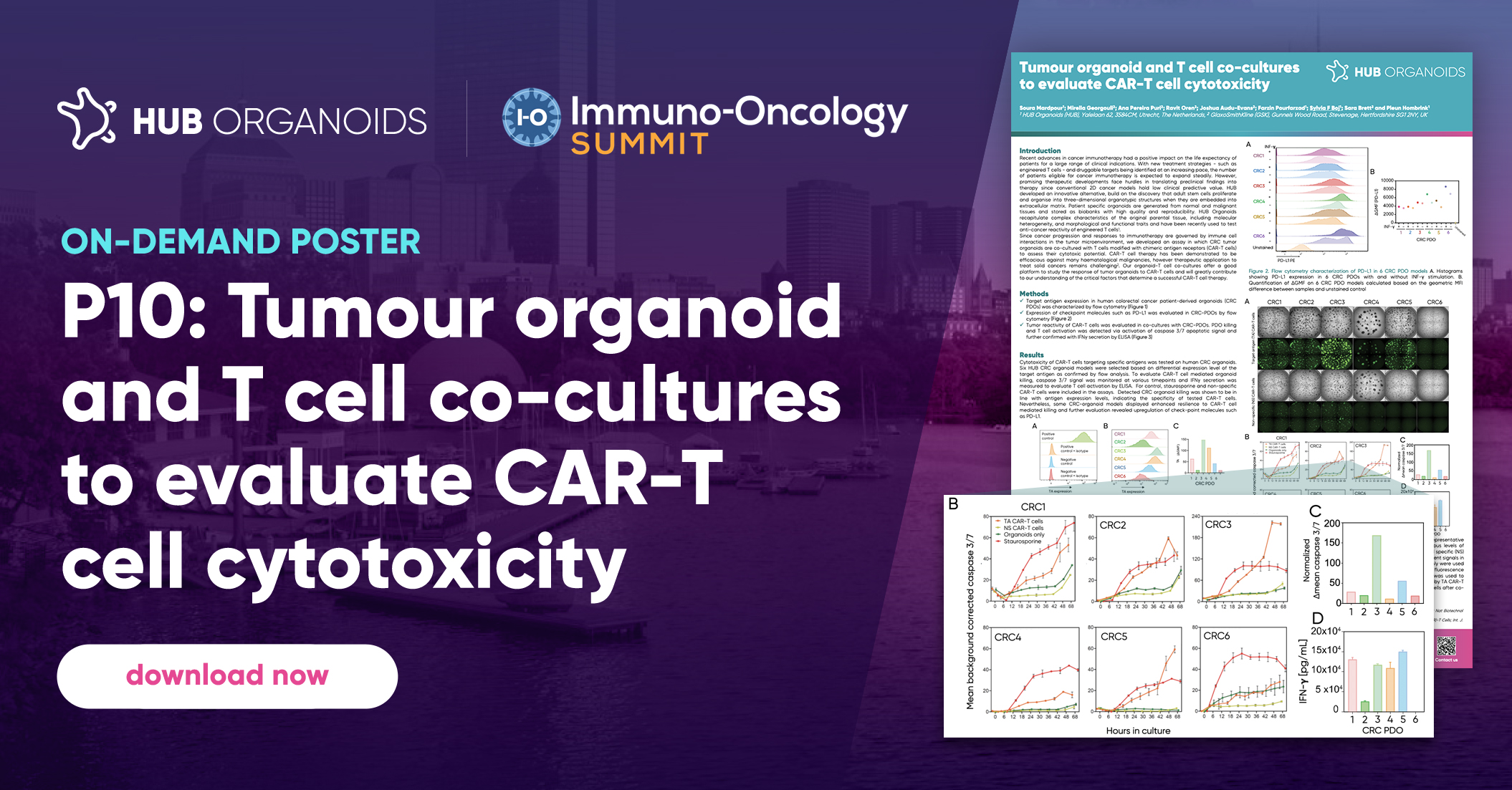 IO Summit 2022 Poster: Tumour organoid and T cell co-cultures to ...