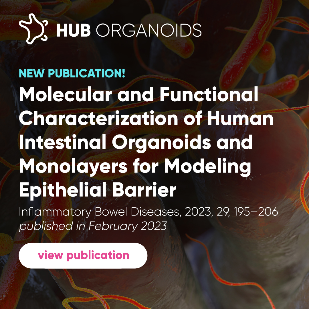 Molecular and Functional Characterization of Human Intestinal Organoids ...