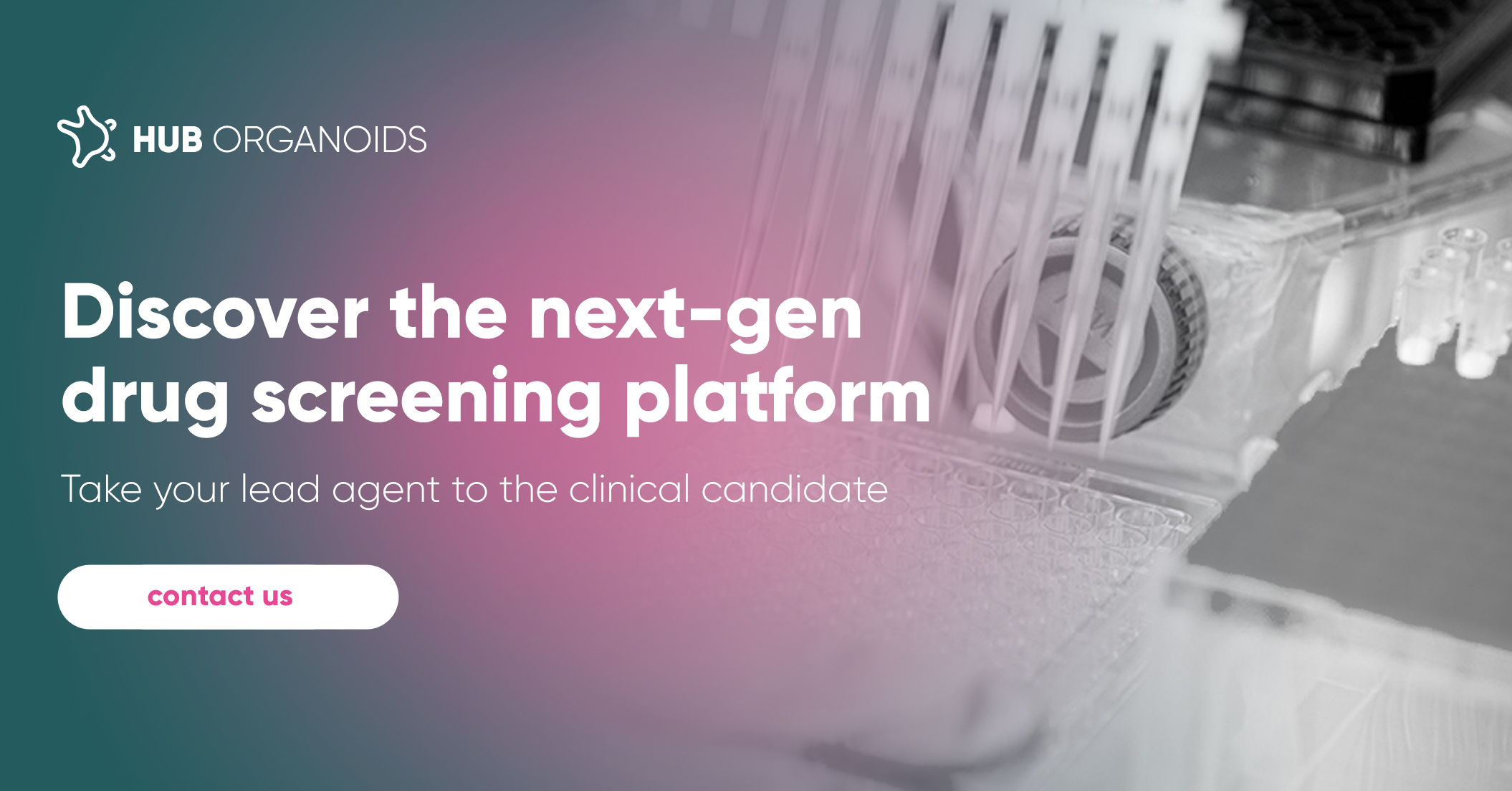 HUB Organoids for Drug Screening