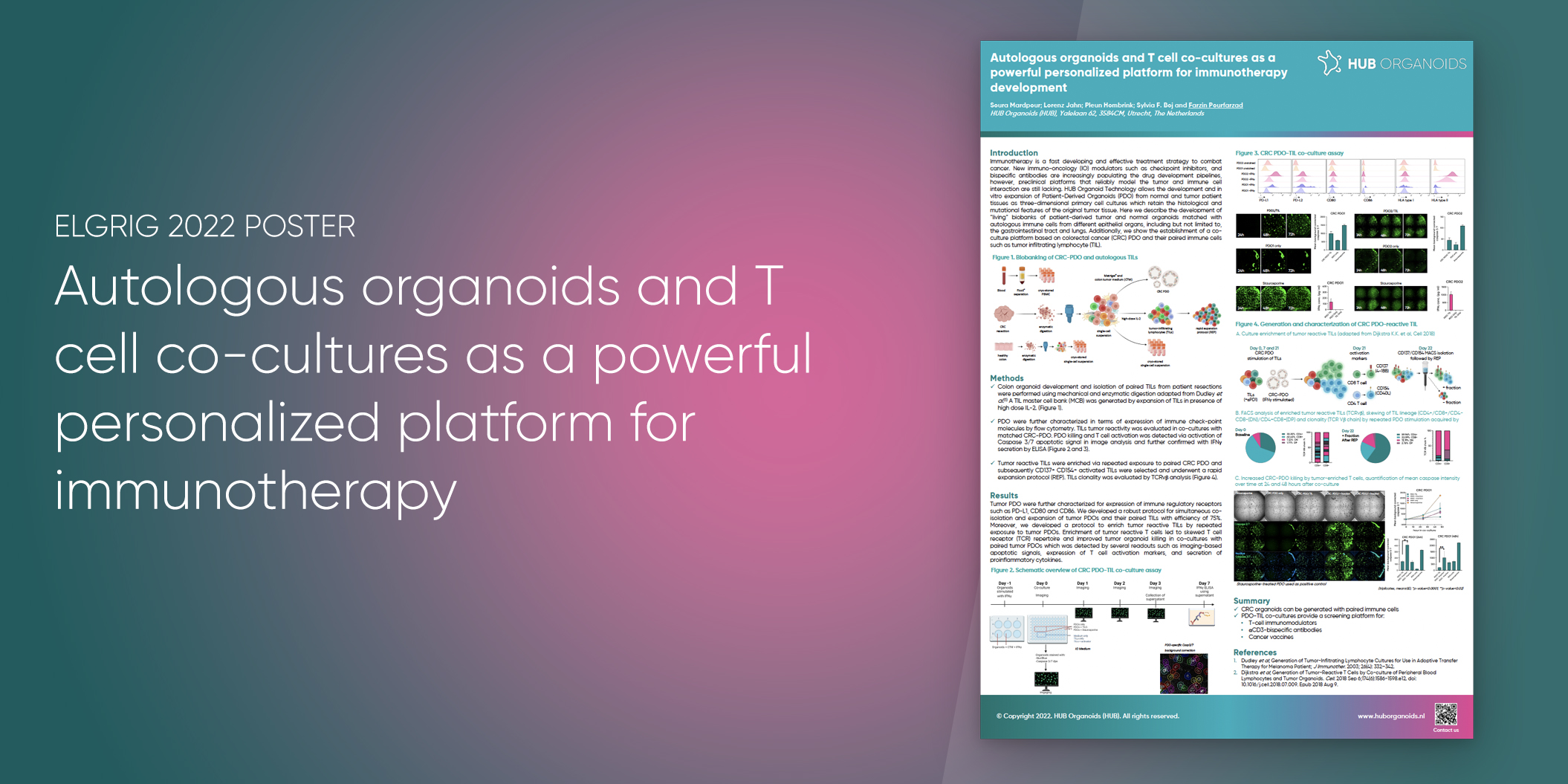 Autologous organoids and T cell co-cultures as a powerful personalized ...