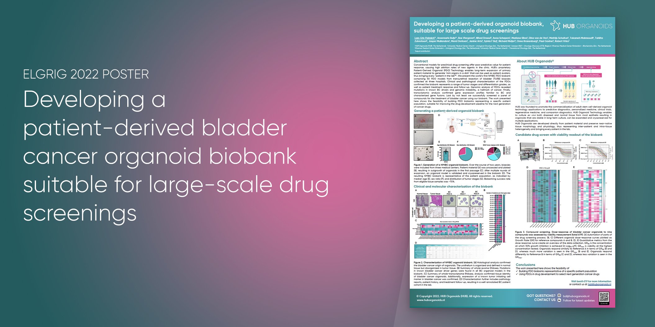 Developing a patient-derived bladder cancer organoid biobank suitable ...