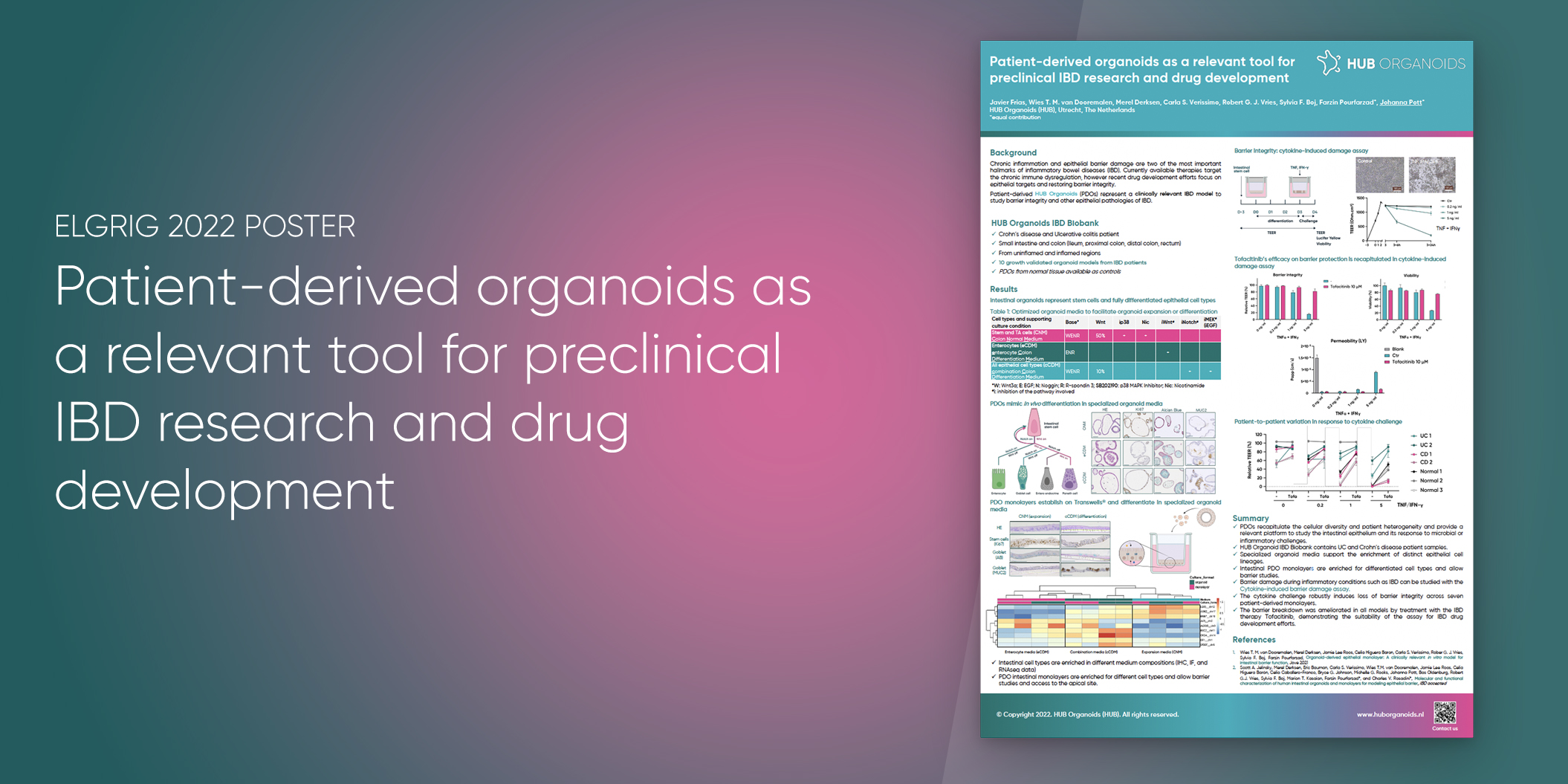 Patient-derived organoids as a relevant tool for preclinical IBD ...