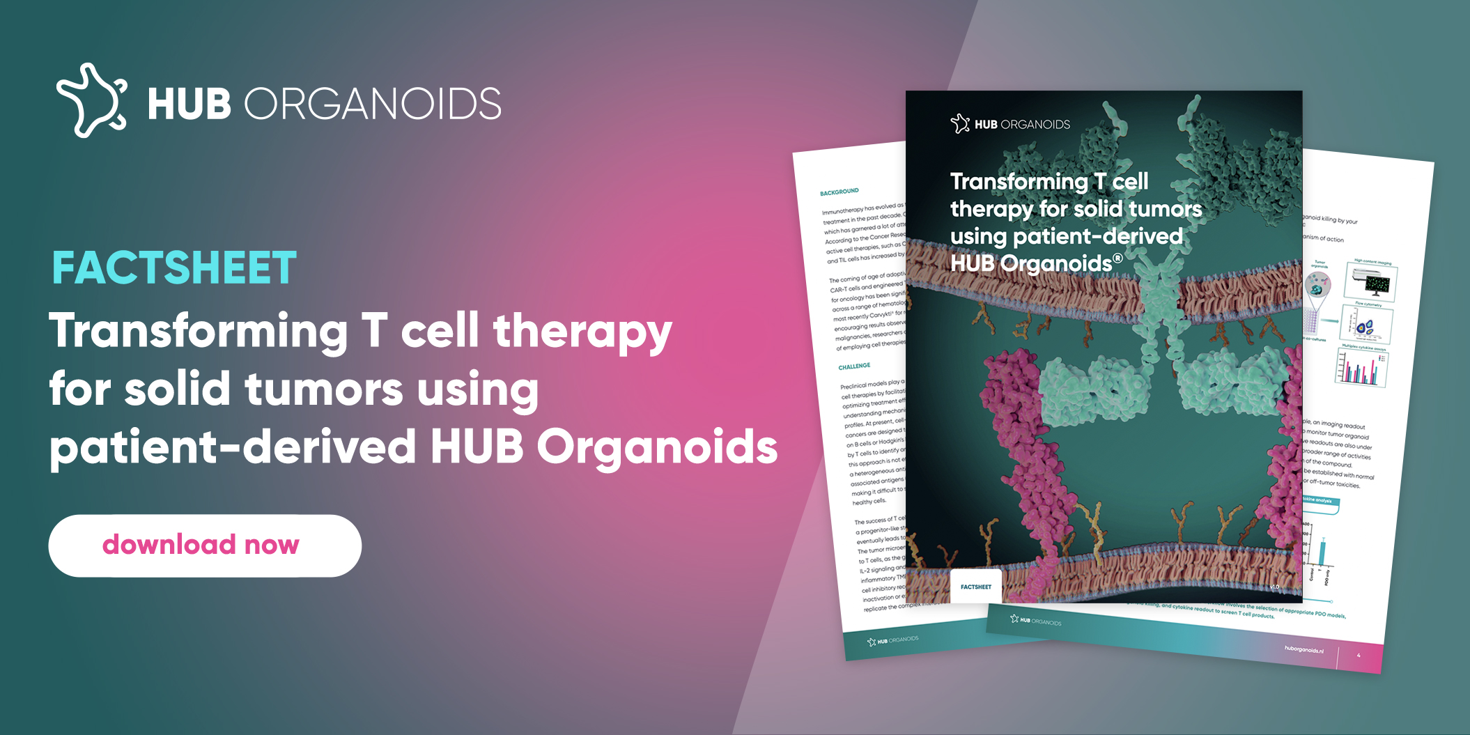 Factsheet: Transforming T cell therapy for solid tumors using patient ...