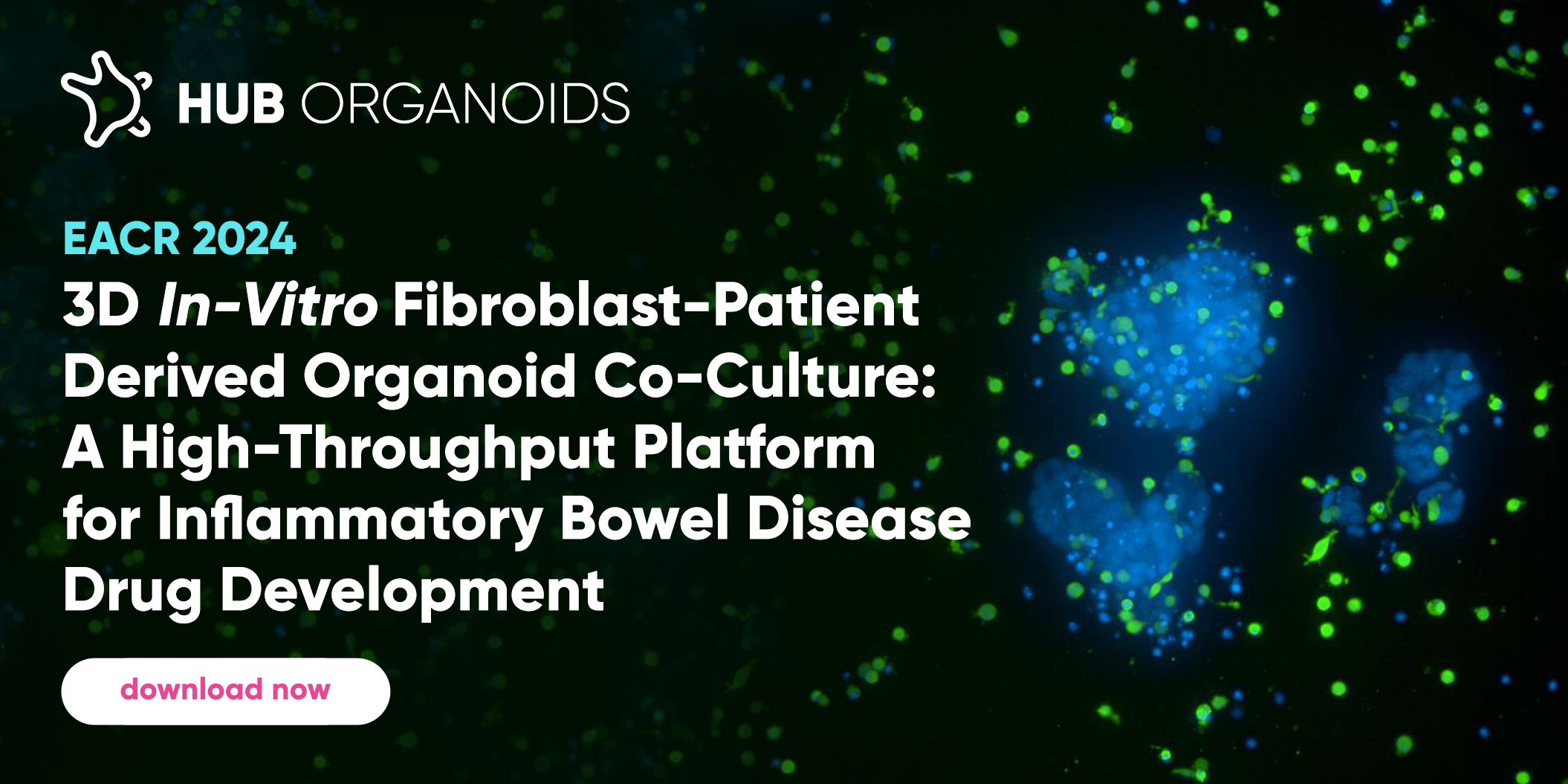 Poster download: 3D In-Vitro Fibroblast-Patient Derived Organoid Co ...
