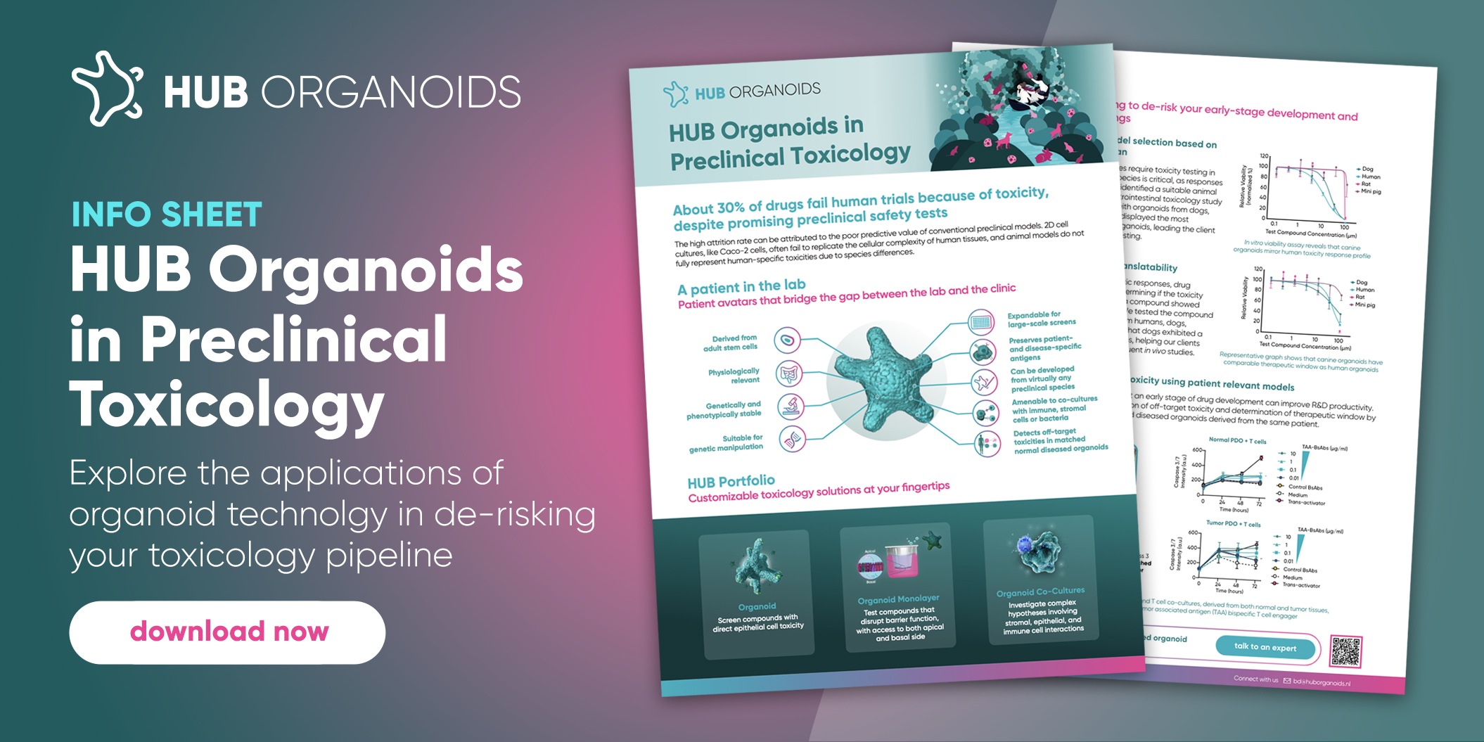 Info Sheet: HUB Organoids in Preclinical Toxicology