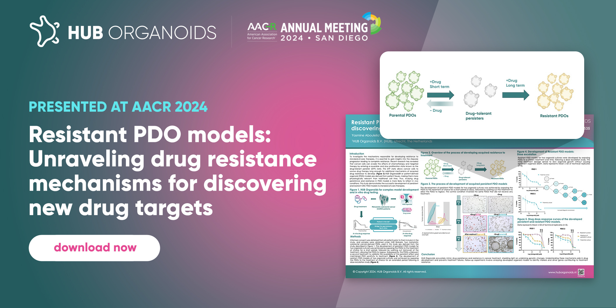 Poster download: Resistant PDO models: Unraveling drug resistance mechanisms for discovering new ...