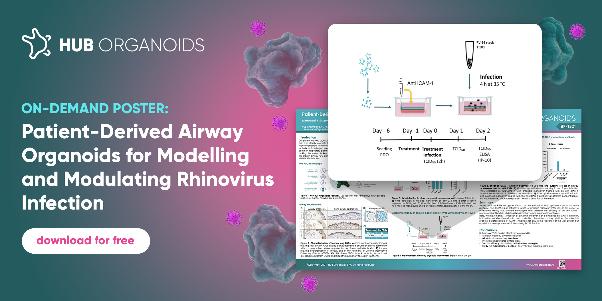 Thank you for attending our talk at IDWeek 2024!